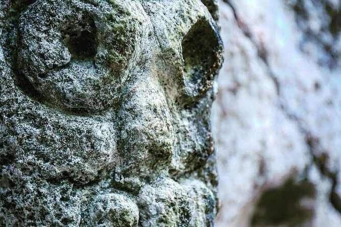 Los Haitises & Cayo Levantado (Lunch included, from Samana in Catamaran or Boat) - Is This Tour Worth It?