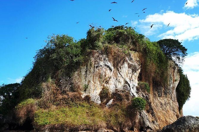 Los Haitises & Cayo Levantado (Lunch included, from Samana in Catamaran or Boat) - Who Should Consider This Tour?