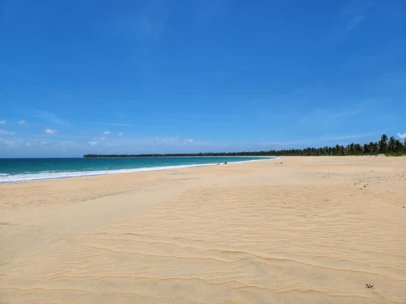 Los Haitises & Esmeralda Beach + Montana Redonda - A Deep Dive into the Experience