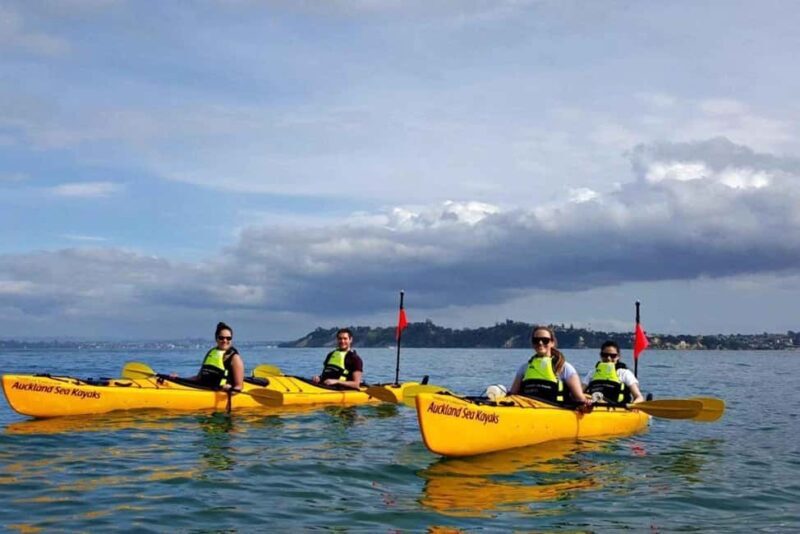 Los Haitises: Guided Kayak Tour with Local Guide - Key Points