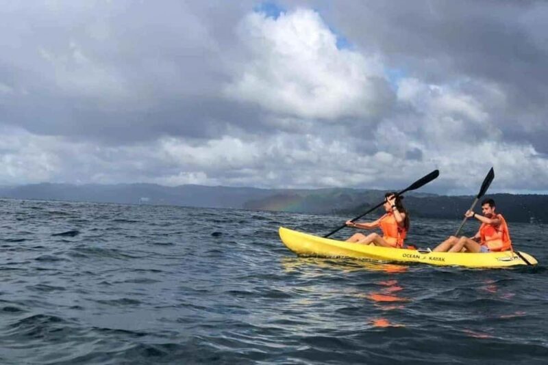 Los Haitises: Guided Kayak Tour with Local Guide - An In-Depth Look at What This Tour Offers
