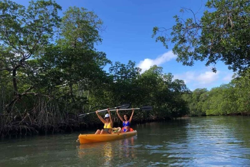 Los Haitises: Guided Kayak Tour with Local Guide - Practical Tips for Making the Most of Your Trip