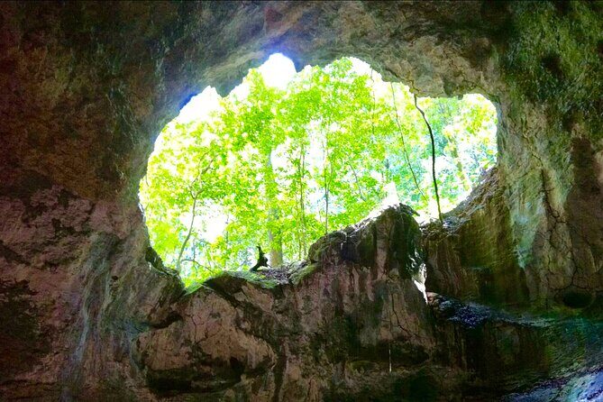 Los Haitises National Park and Cayo Levantado Island Day Trip from Samana - The Full Breakdown of the Tour Experience