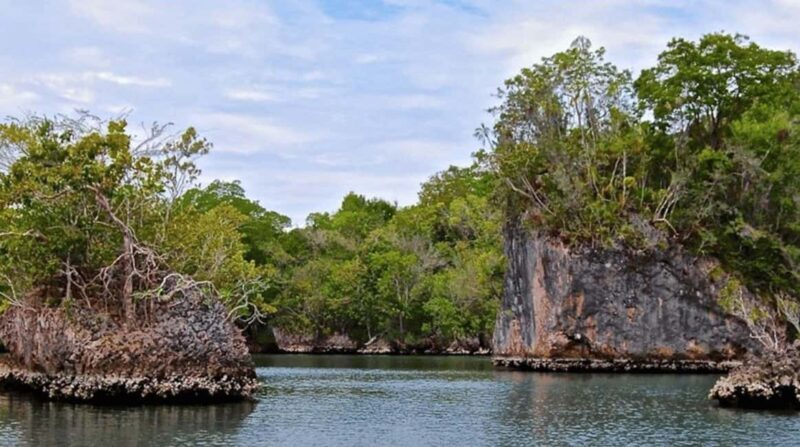 Los Haitises National Park: Boat Tour and Cave Visit - Wildlife and Marine Life Encounters