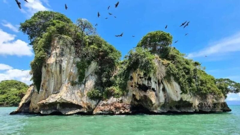 Los Haitises National Park: Boat Tour - An Authentic Adventure on the Water