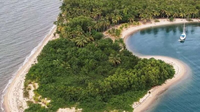 Los Haitises National Park: Boat Tour - Navigating the Mangroves and Secluded Beaches
