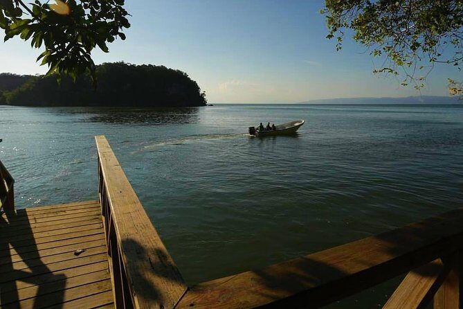 Los Haitises National Park - Hiking in Rain Forest + Private Boat to Caves - Practical Considerations