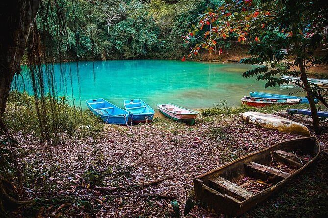 Los Haitises National Park - Hiking in Rain Forest + Private Boat to Caves - Who Would Enjoy This Experience?