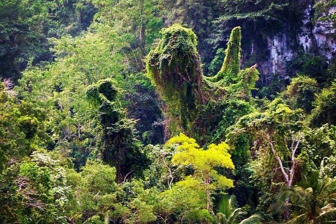 Los Haitises National Park - Hiking in Rain Forest + Private Boat to Caves - FAQ