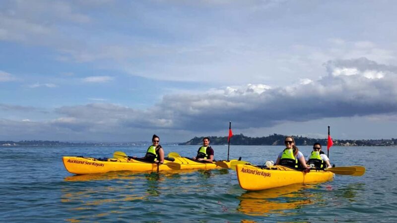 Los Haitises National Park: Kayaking and Hiking Tour - An In-Depth Look at the Tour Experience