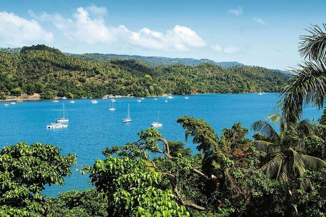 Los Haitises National Park, Montaña Redonda & Bacardi Island - Who Will Appreciate This Tour?