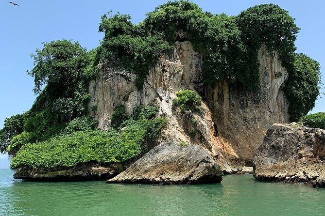 Los Haitises National Park Private boat  Hiking 4 Hours Moist Forest Trail. - What You’ll Experience on the Trail