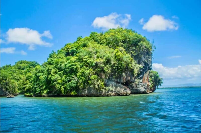 Los Haitises National Park: Private Boat Tour from Caño - An Honest Look at the Experience
