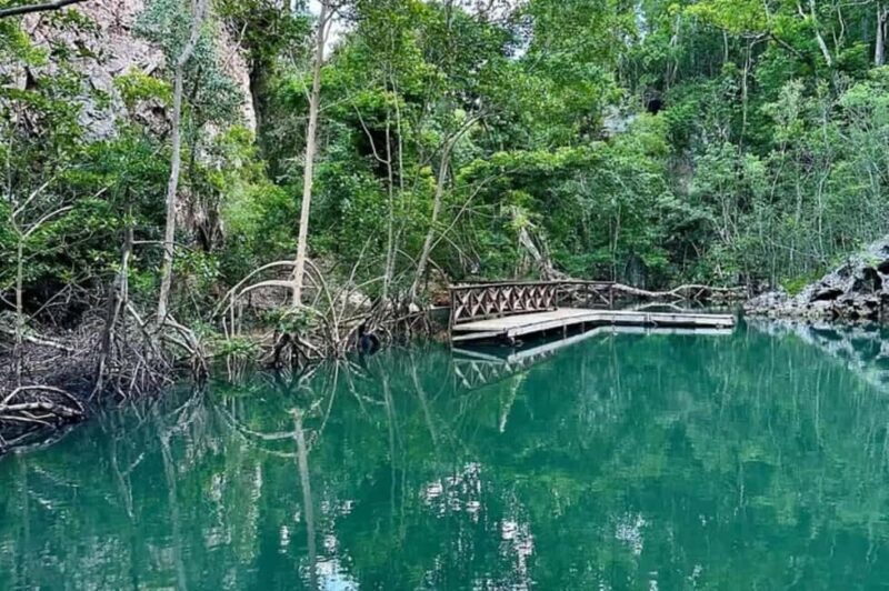 Los Haitises National Park: Private Boat Tour from Caño - FAQ