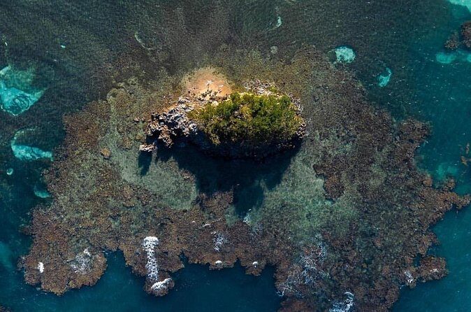 Los Haitises National Park private Kayaking 4 hours trip Mangroves and Cave - Overview and Booking Details