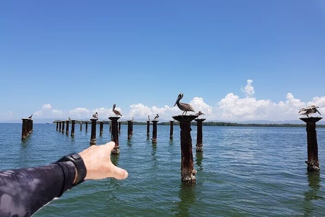 LOS HAITISES National Park - Punta cana - Who Should Consider This Tour?