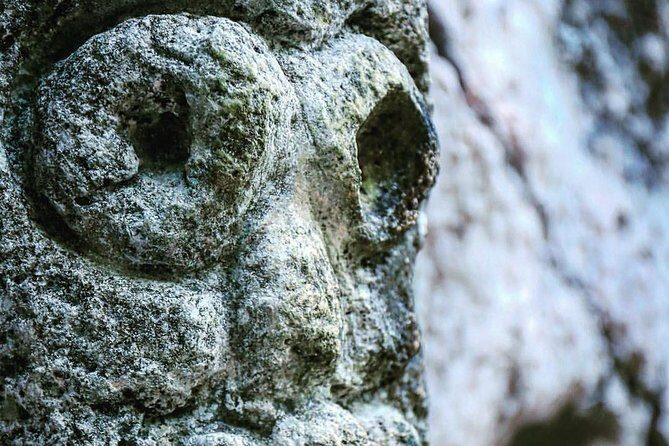 Los Haitises National Park Tour from Punta Cana Montana Redonda and Cano Hondo - The Sum Up