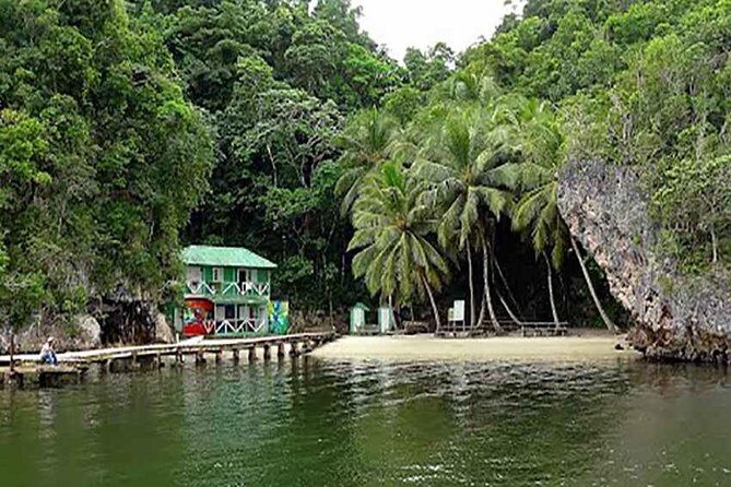 Los Haitises National Park Tour with Lunch from Punta Cana - The Practicalities: What Travelers Should Know