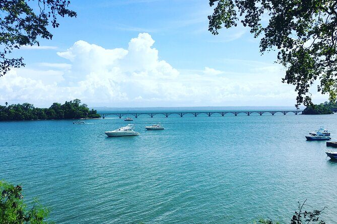 Los Haitises Park & Cayo Levantado: Samaná unforgettable Journey - Who Is This Tour Best For?