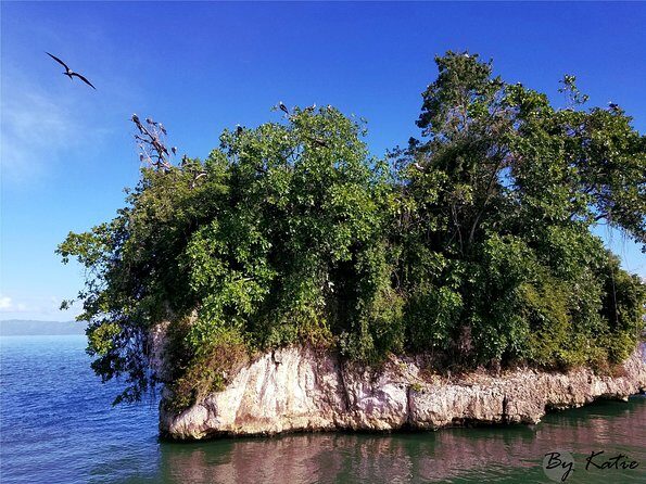 Los Haitises Plus Bacardi Island for Samana Cruise Ship Travelers - Practical Tips for Participants