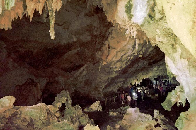 Los Haitises Plus Bacardi Island for Samana Cruise Ship Travelers - The Sum Up