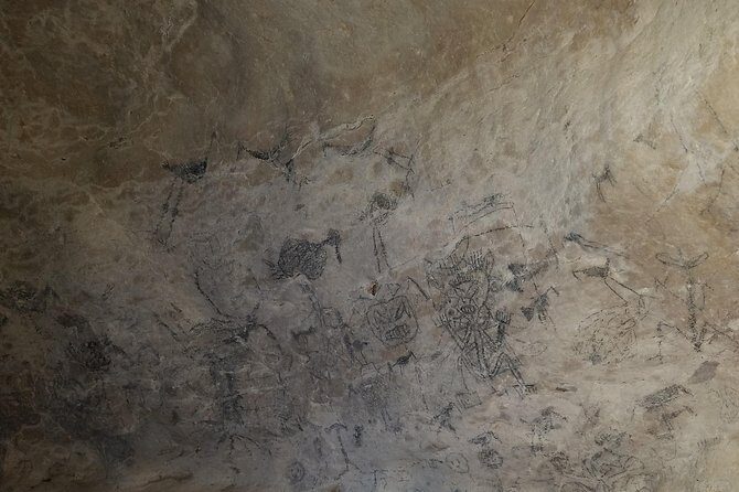 Los Haitises Plus Bacardi Island for Samana Cruise Ship Travelers - FAQ