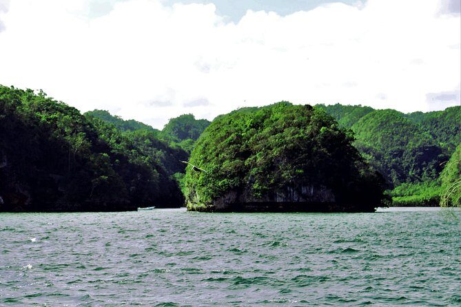 Los Haitises Private Boat Tour - What’s Included and What You Should Know