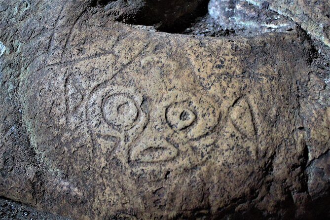 Los Haitises Private Boat Tour - Experience and Value