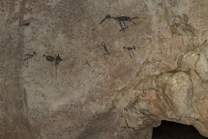 Los Haitises Private Boat Tour - FAQs