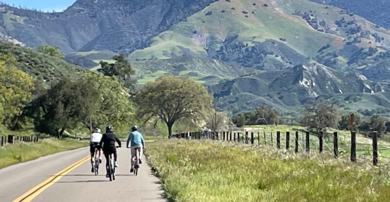 Los Olivos: E-Bike Tour + Vineyard Lunch w/Wine Tasting - In-Depth Look at the Tour