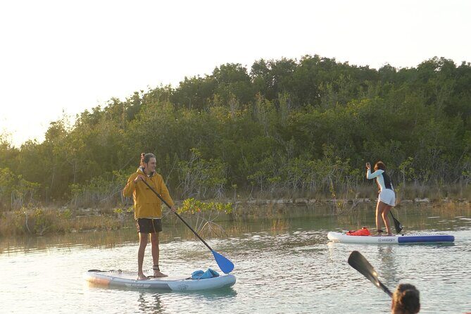 Los Rapidos Sunrise Paddle Boarding with Pick Up - Frequently Asked Questions