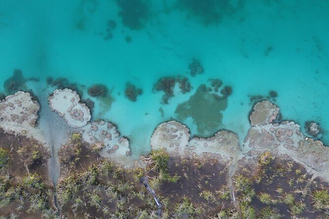 Los Rapidos Sunrise Paddle Boarding with Pick Up - Concluding Thoughts