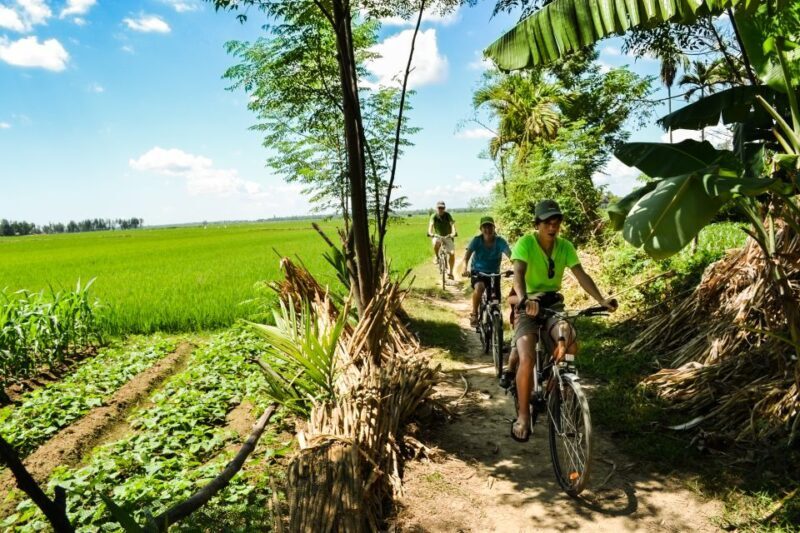 Lost Civilization - My Son Temples Bike Tour in Hoi An - The Itinerary: A Closer Look