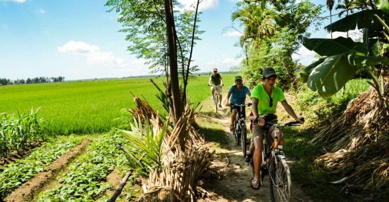 Lost Civilization - My Son Temples Bike Tour in Hoi An - FAQ