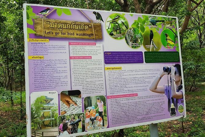 Lost in Bangkok : Green Lung Jungle Bicycle Ride with Lunch - A Closer Look at the Itinerary and What to Expect