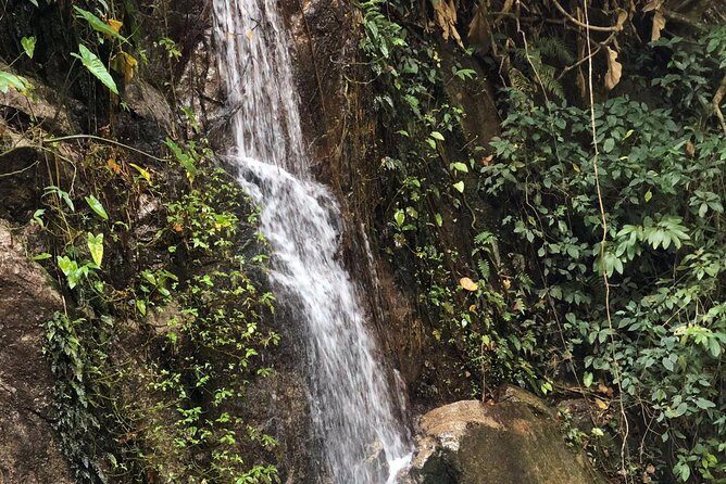 Lost in Chiang Mai - Secret Village, Hot Spring & Waterfall - A Cultural Therapy - A Feast for the Senses: Local Food and Coffee