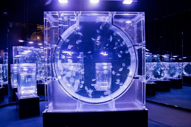 Lotte World Aquarium Hanoi Admission Ticket - Who Should Visit?