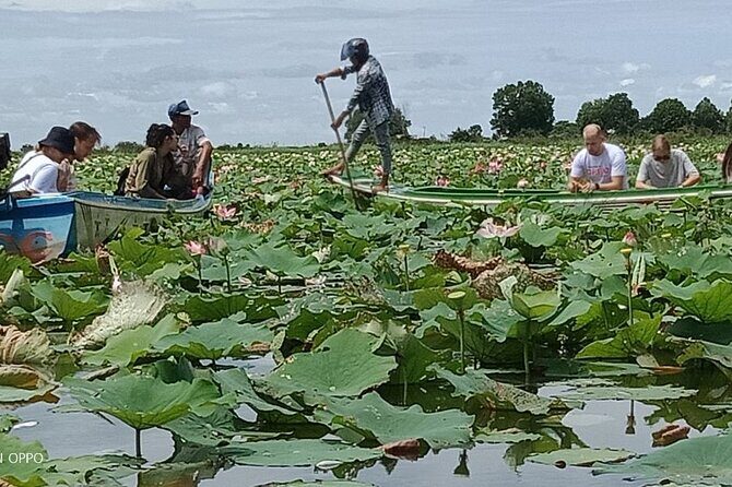 Lotus Silk Farm: Discover Learn and Experiment the Lotus Flower - An In-Depth Look at What Makes This Tour Stand Out