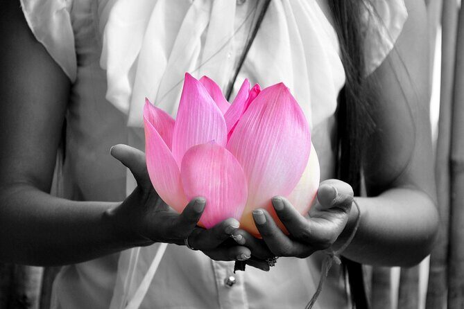 Lotus Silk Farm: Discover Learn and Experiment the Lotus Flower - FAQs