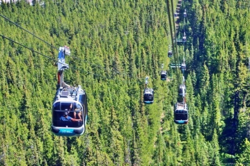 Louise Louise, Banff Gondola, Minnewanka & Emerald Lakes - Timing and Practicalities