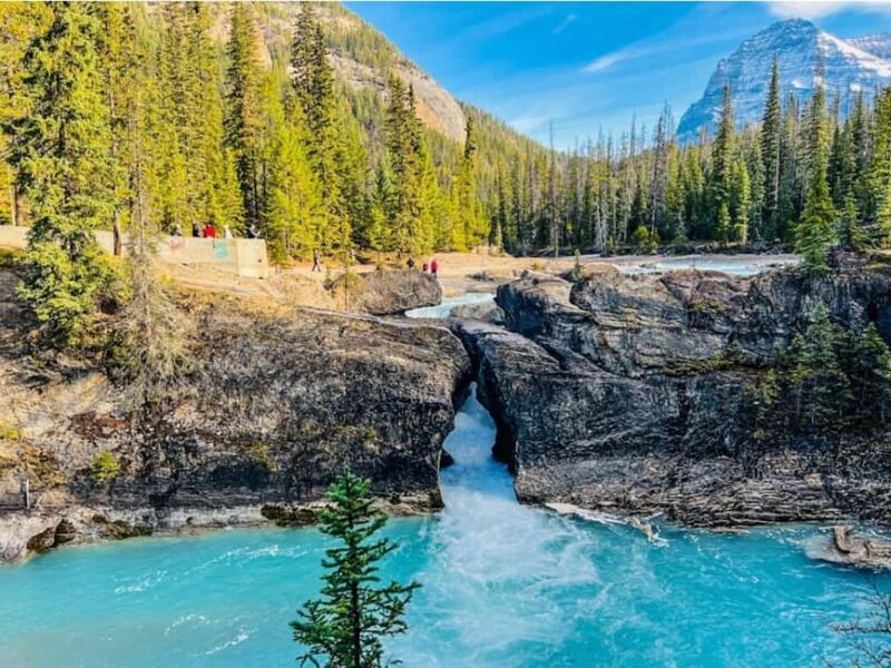 Louise, Moraine/Bow, Emerald, Peyto- 4 Lake Tour - Lake Louise: The Iconic Start