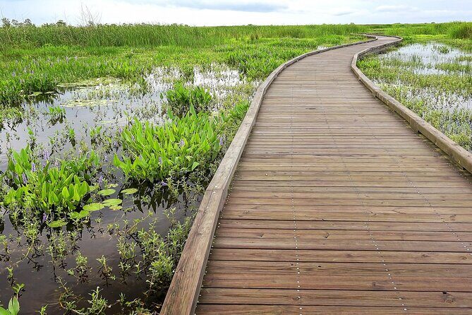 Louisiana Creole Nature Trail Self-Guided Audio Driving Tour - The Experience and Its Value
