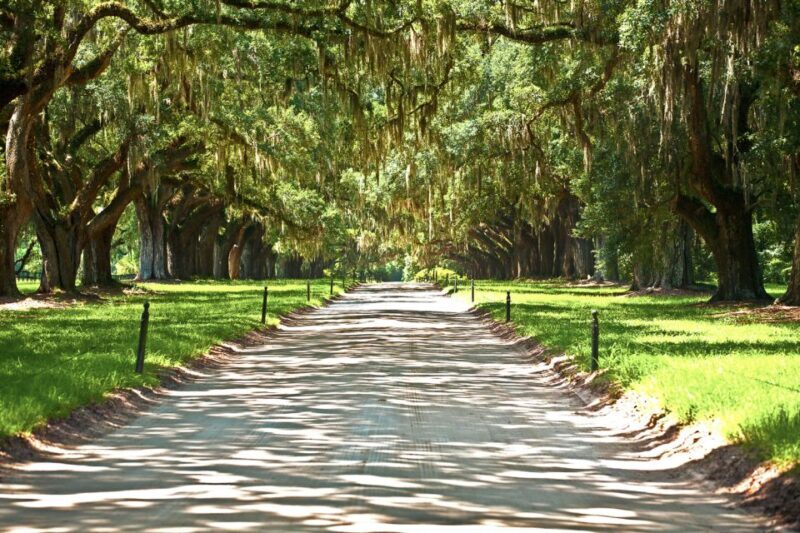 Louisiana: Laura, Oak Alley, or Whitney Plantation Tours - What to Expect from Your Tour