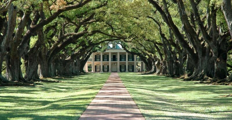 Louisiana: Laura, Oak Alley, or Whitney Plantation Tours - Final Thoughts: Who Will Get the Most from This Experience?