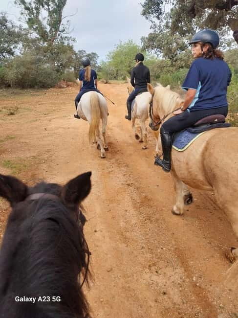 Loulé: Guided Horse Riding in the Hills of Tor - Practical Details and Logistics
