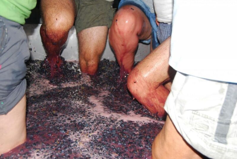 Loulé: Quinta da Tôr Winery Guided Tour and Wine Tasting - The Setting and Additional Amenities