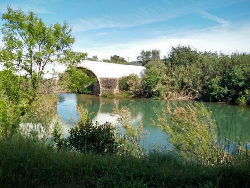 Loulé: Quinta da Tôr Winery Guided Tour and Wine Tasting - FAQ