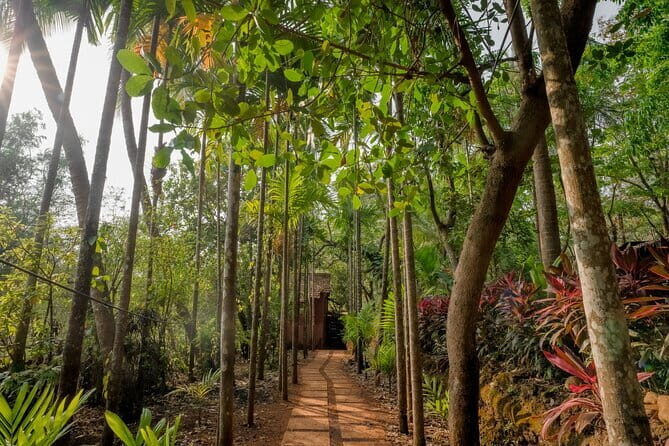 Loutolim Ebike Tour and Bigfoot Museum Visit - Detailed Breakdown of the Itinerary