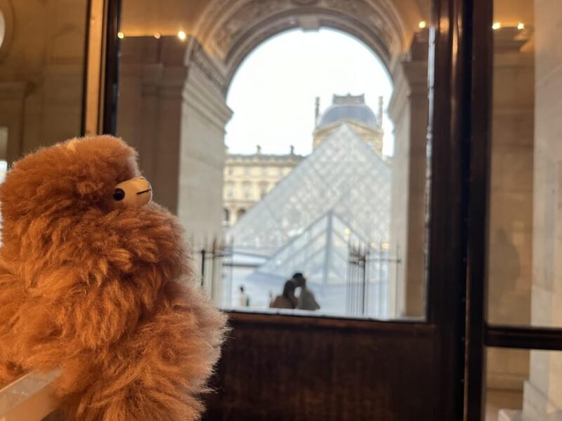 Louvre Museum Entry Ticket and Private Guided Tour - FAQs About the Louvre Guided Tour