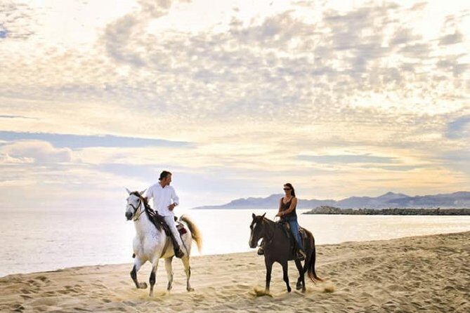Love is in the air! Private horseback ride on the beach and sunset dinner! - An In-Depth Look at the Experience